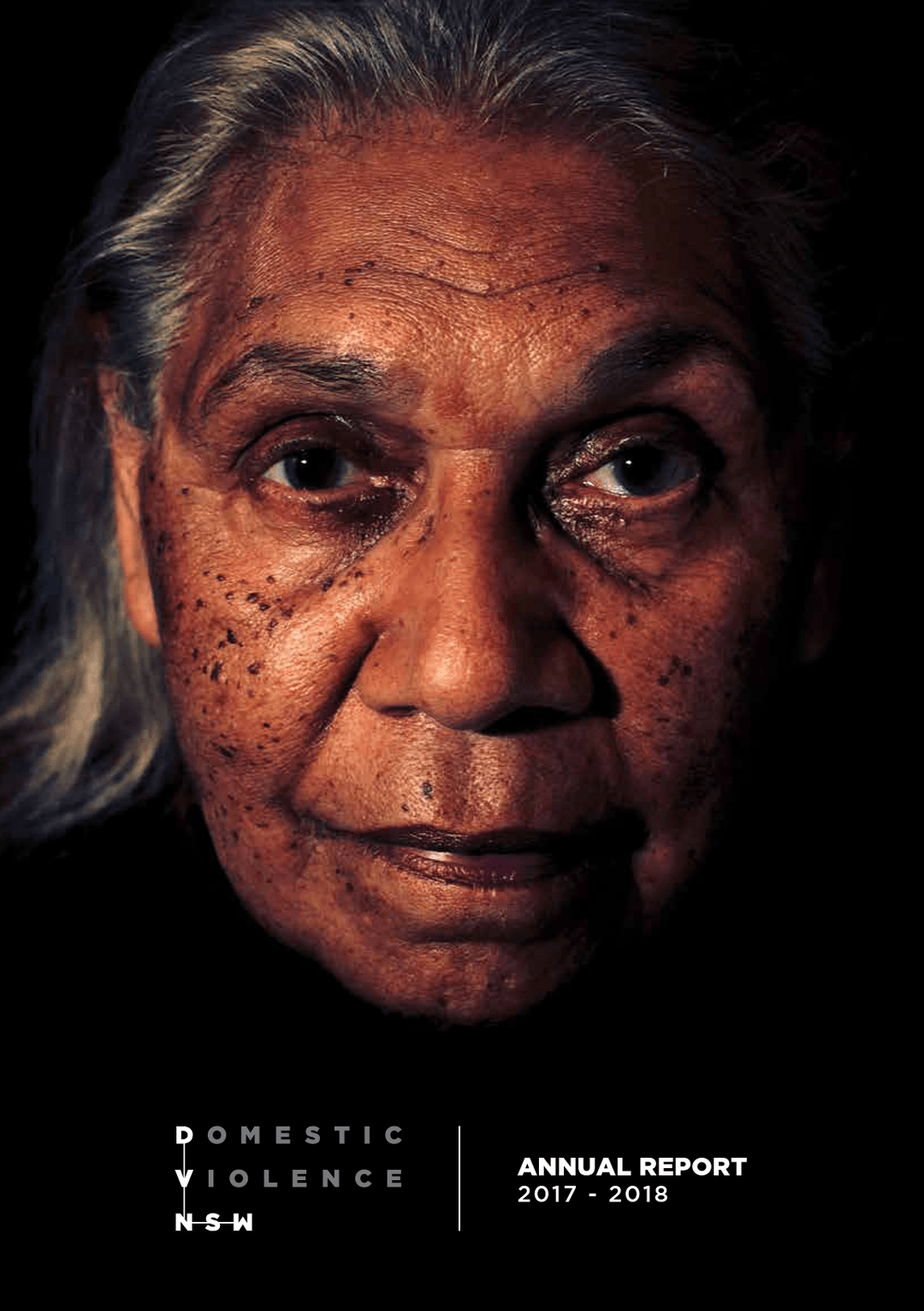 DVNSW - Our Governance